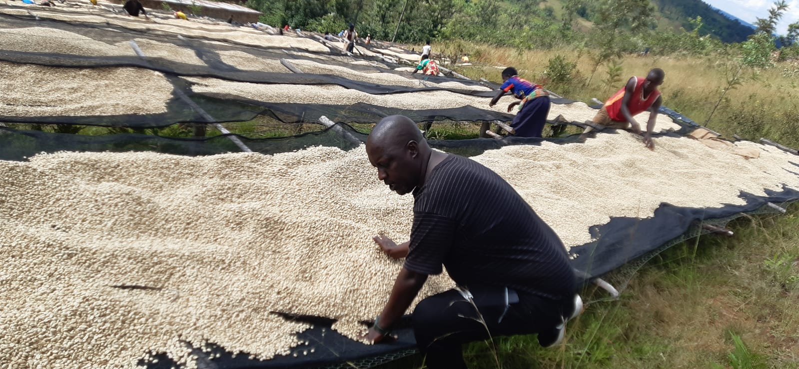 The Hidden Gem of African Coffee: Burundi’s Untold Story – Ruvubu Coffee